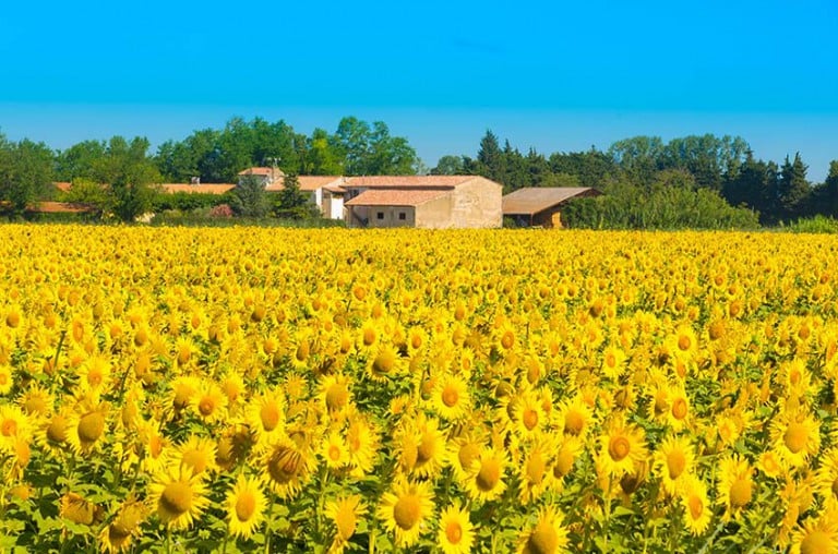 Holiday Cottages In France With Pools | Simply Owners