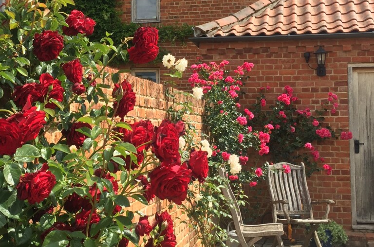 2 Bedroom (Sleeps 4) Cottage in Great Massingham, King's Lynn (P227564 ...